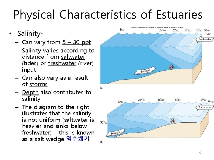 Chapter 12 Estuaries Where Rivers Meet the Sea