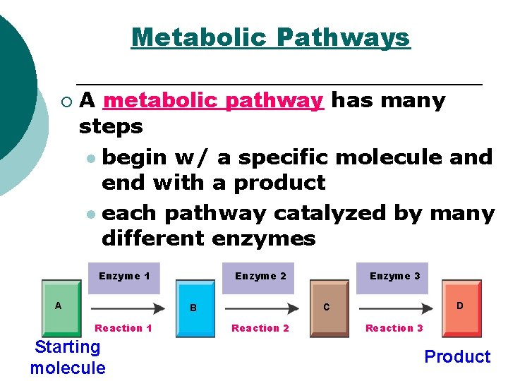 METABOLISM ENERGY An Introduction to Metabolism AP Biology