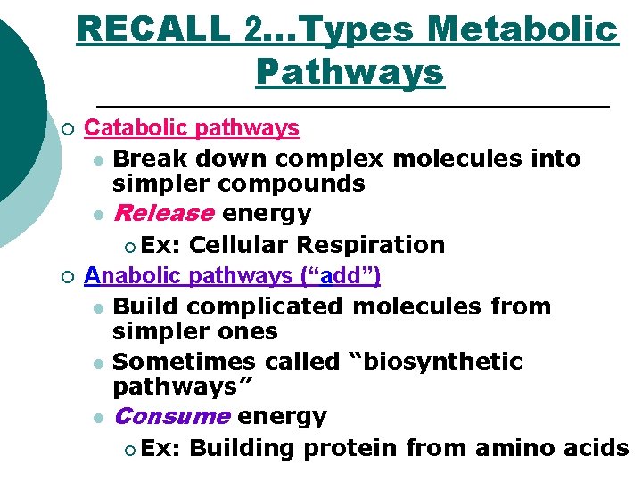 METABOLISM ENERGY An Introduction to Metabolism AP Biology
