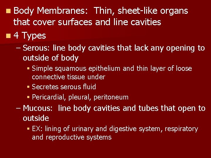 Body Membranes and Integumentary System n Body Membranes