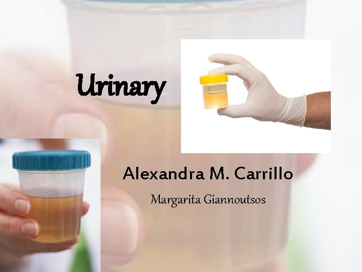 Urinary Alexandra M Carrillo Margarita Giannoutsos Organs Involved