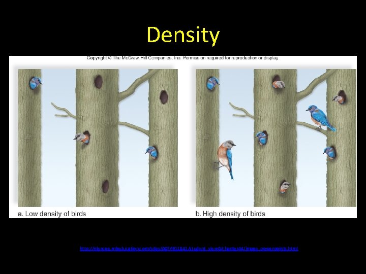 1 00ECOLOGYBIO 1 INTRO Population Size Density Slides