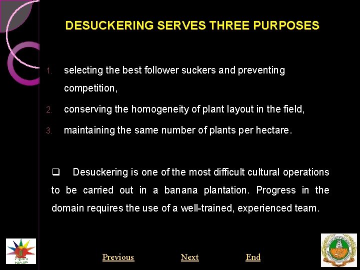 DESUCKERING AND MATTOCKING IN BANANA Next End DESUCKERING
