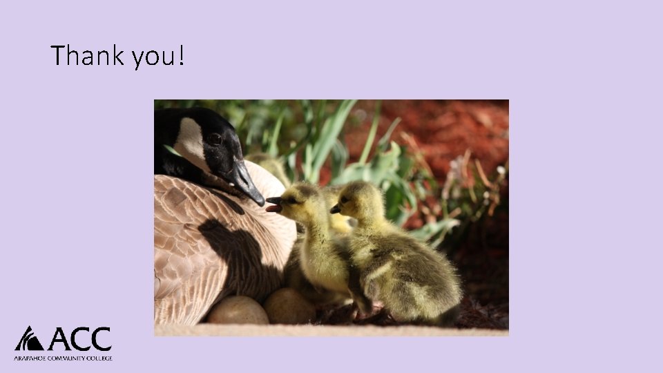 Reverse Pictionary Building Awareness and Empathy Presenters Valorie