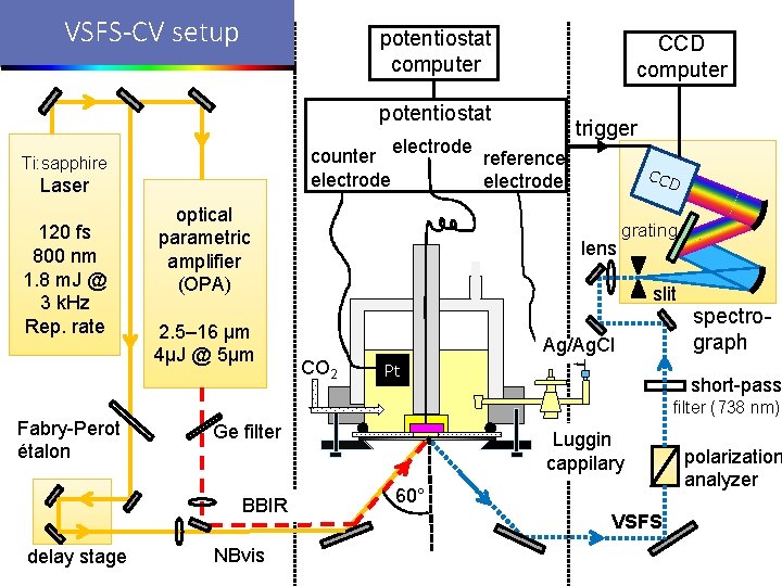 Vibrational Sum Frequency Spectroscopy study of CO 2
