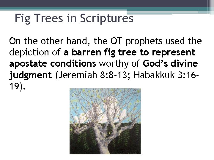 Parable Of The Barren Fig Tree Luke 13