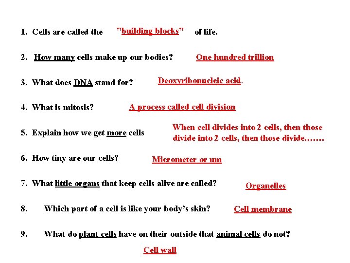 1 Cells are called the building blocks 2