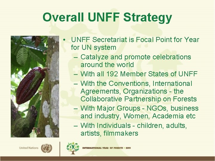 Communicating Forests for Sustainable Development International Year of