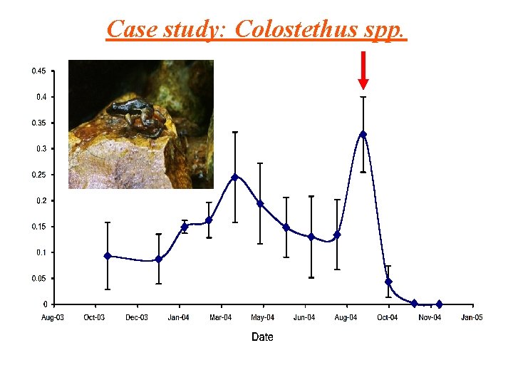 The scope and scale of the amphibian crises