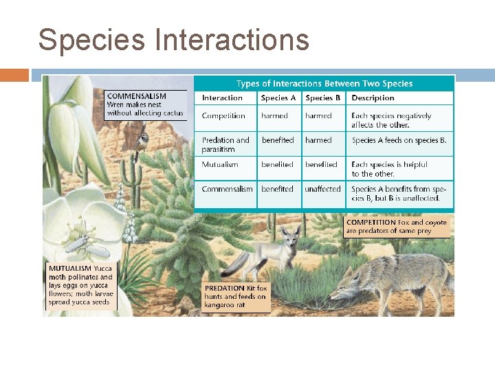 CHAPTER 8 UNDERSTANDING POPULATIONS Section 2 How Species