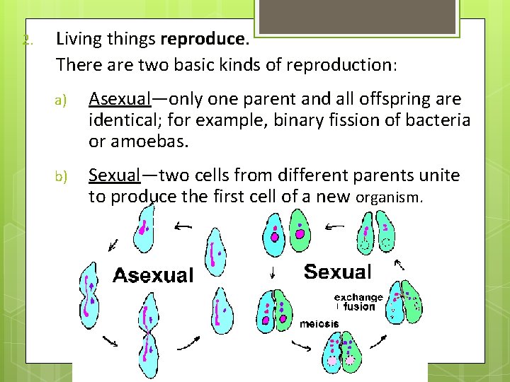 Chapter one Exploring Life Inquiring About Life An