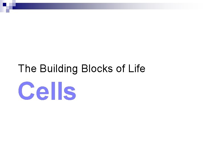 The Building Blocks of Life Cells The Cell