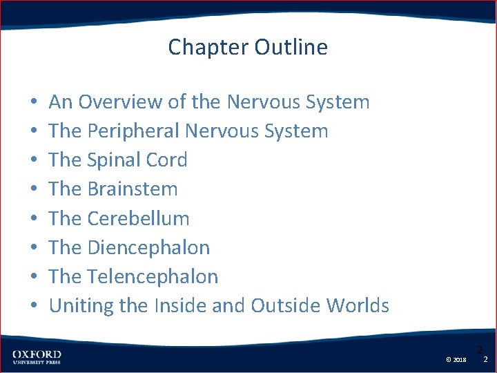 2 The Brain and Nervous System Cognitive Neuroscience
