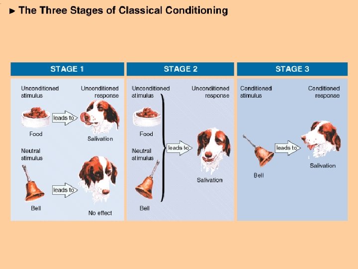 Educational Psychology Theory and Practice Chapter 5 Behavioral