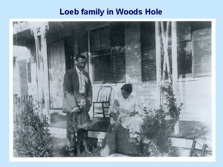 Regeneration is Engineering Too or why morphogenesis matters