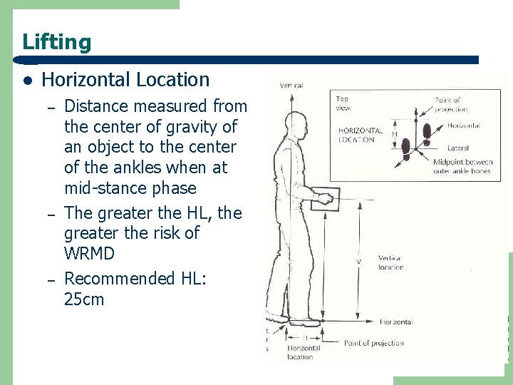 Ergonomics in the Workplace Ergonomics Study of how