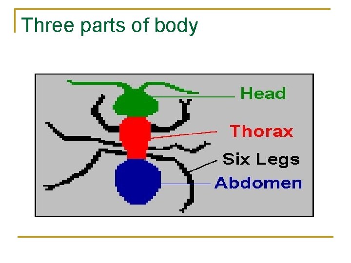 Lujiao Creek Constructed Wetland Little bilingual nature guide