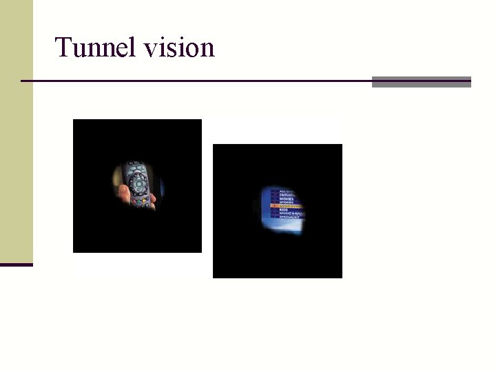 Human Abilities and Models Sensory and cognitive abilities