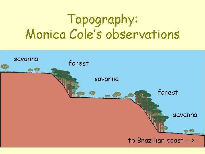 Savannas tropical grasslands Distribution Climate Controlling factors soils