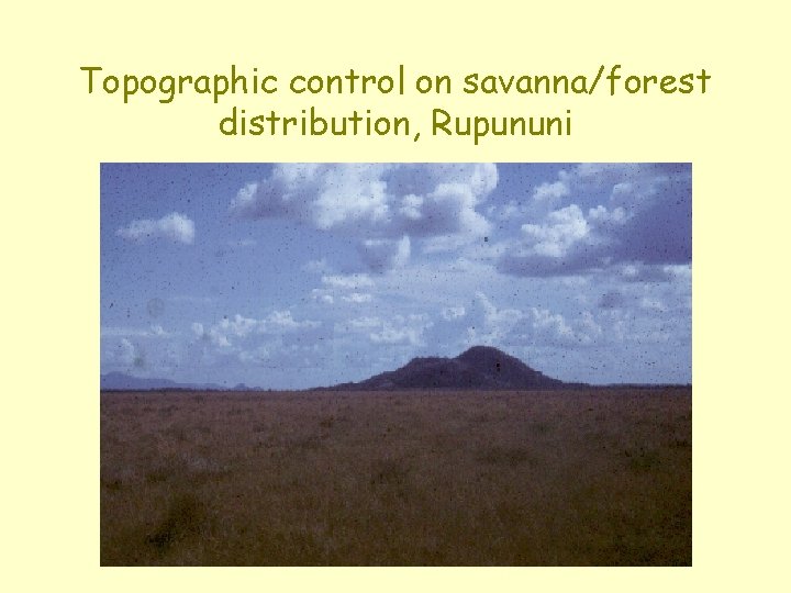 Savannas tropical grasslands Distribution Climate Controlling factors soils