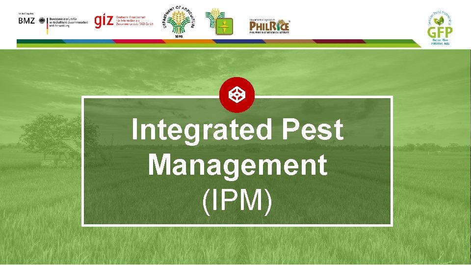 Integrated Pest Management IPM 20 01 2022 1