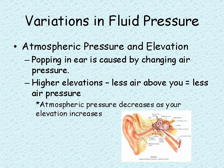 Forces and Fluids Chapter 12 BIG IDEAS Newtons