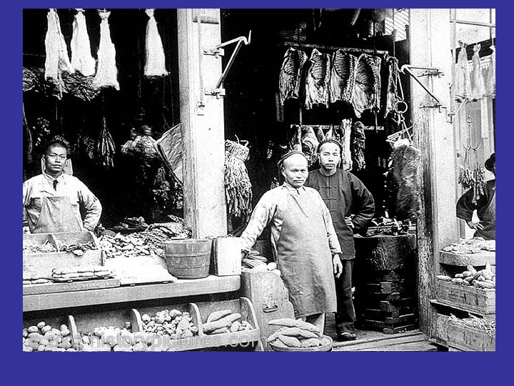 Nativism and the Chinese Exclusion Act Nativism Policy