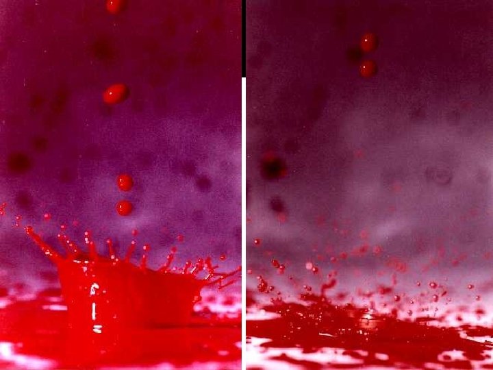 Blood a Liquid Blood is nothing more than
