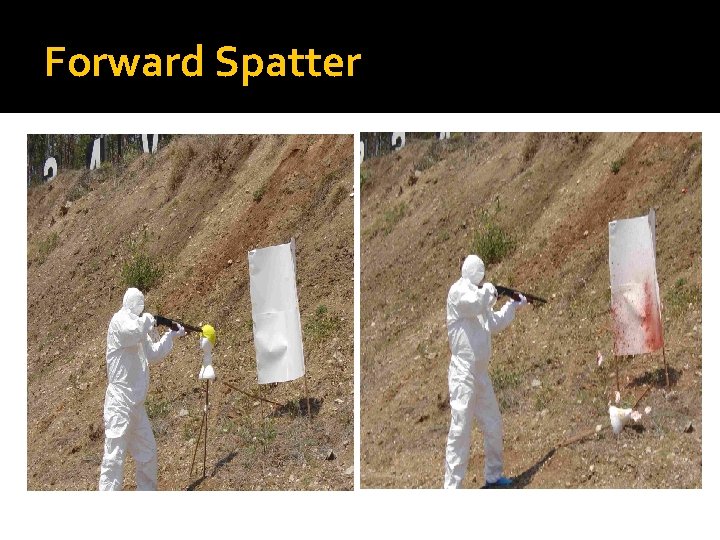 Blood a Liquid Blood is nothing more than