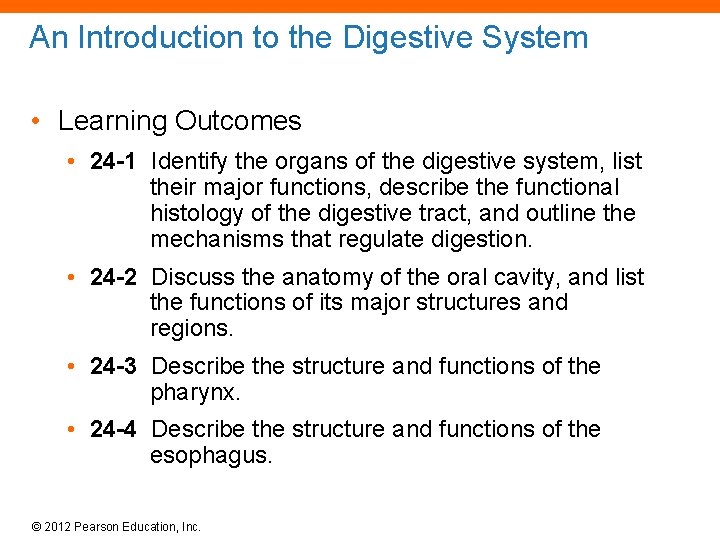 24 The Digestive System Power Point Lecture Presentations