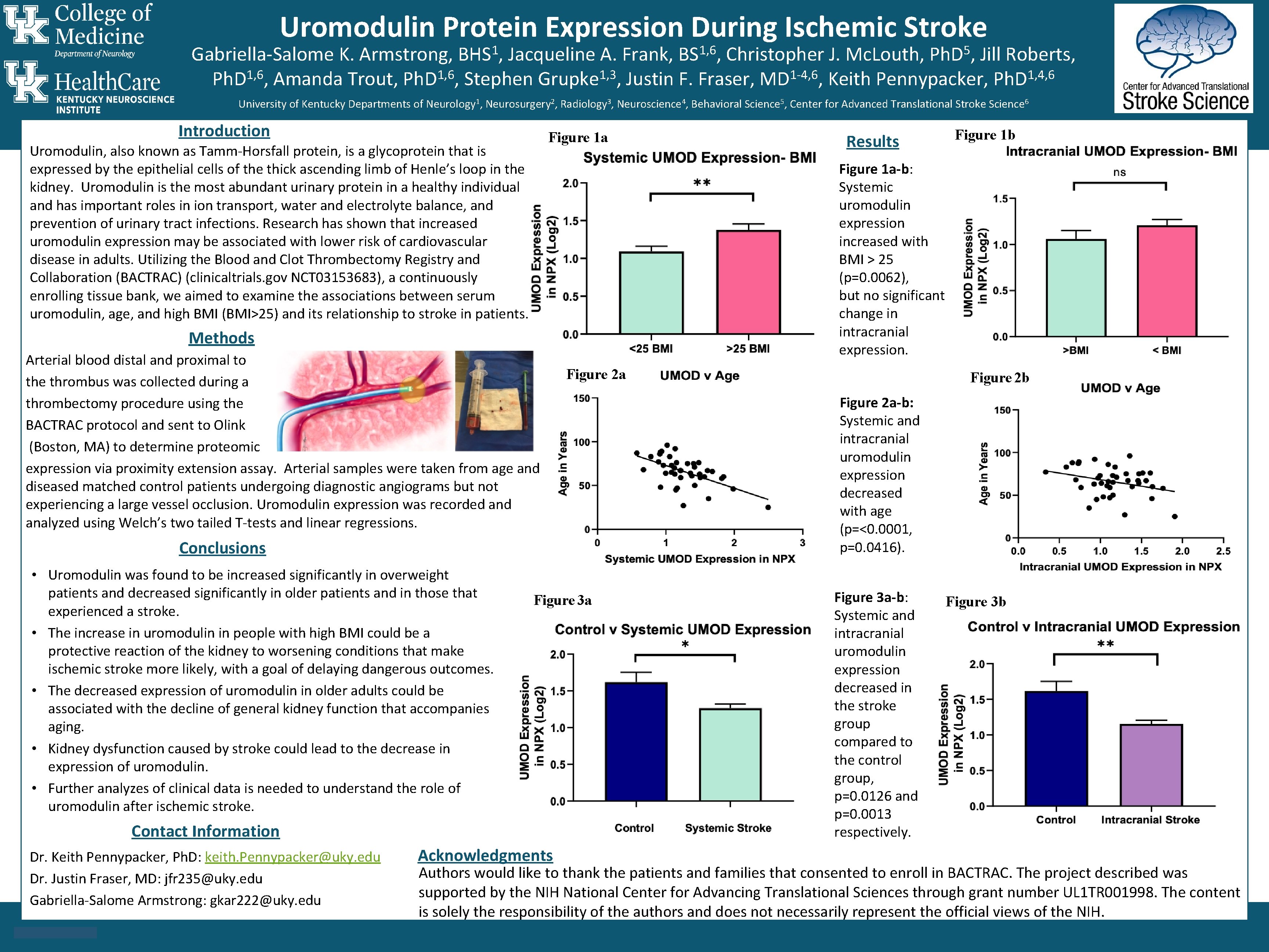 Uromodulin Protein Expression During Ischemic Stroke 1 BHS