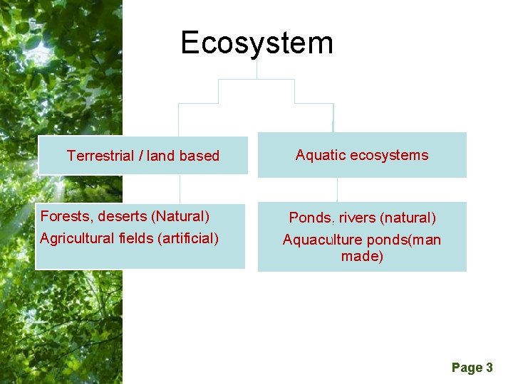 ECOSYSTEM Aparna Menon Dept of English Free Powerpoint