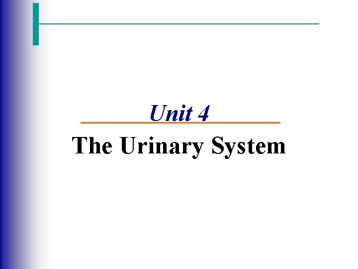Unit 4 The Urinary System Functions of the
