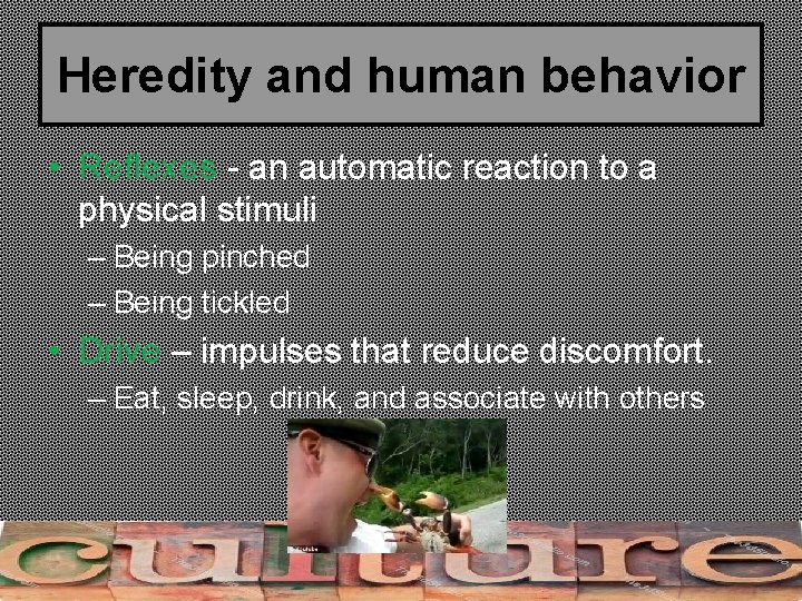 Culture Part 1 Heredity What is Culture Knowledge