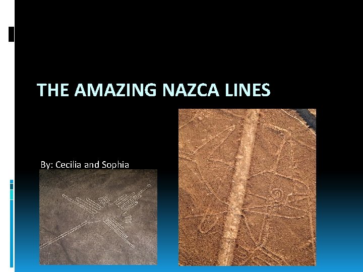 THE AMAZING NAZCA LINES By Cecilia and Sophia