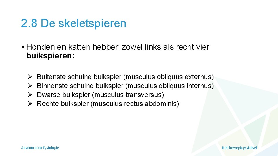 Module Anatomie en fysiologie Hoofdstuk 2 Het bewegingsstelsel