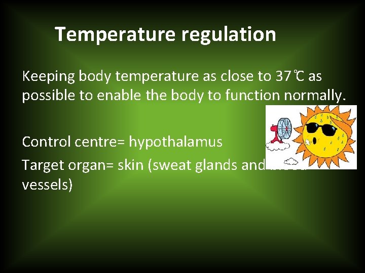Same State Homeostasis maintaining a constant internal environment