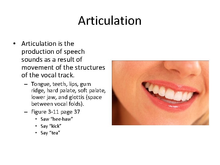 Chapter 3 The Speech Process The Nature of