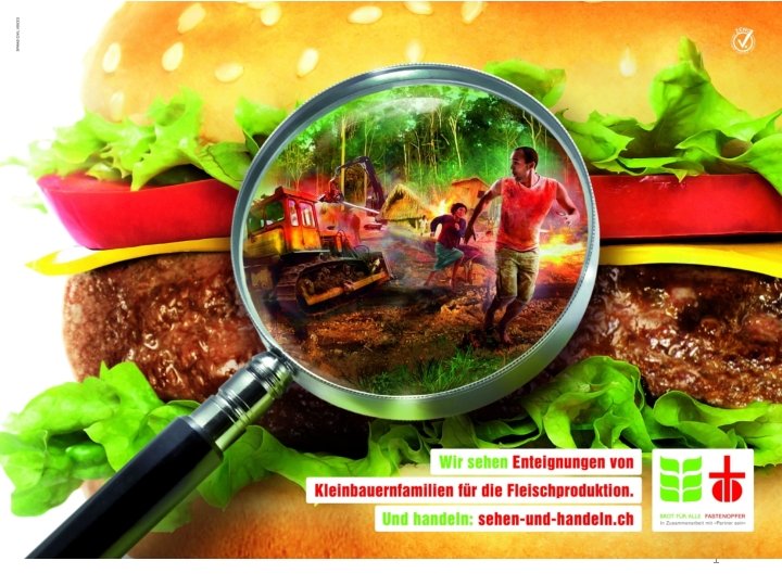 1 2 Ungerechte Landverteilung Wanderfeldbau Kleinbauern roden um