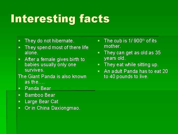 Giant Pandas Where To Find Giant Pandas Habitat