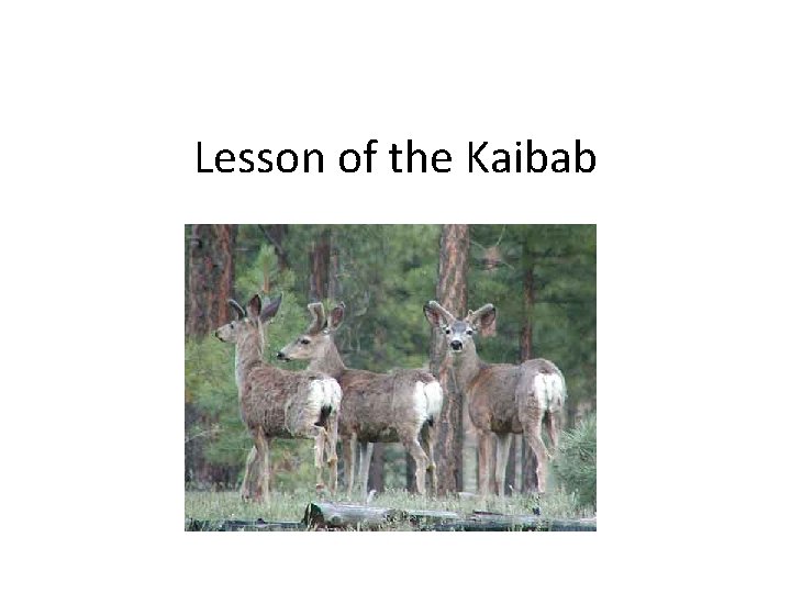 Lesson of the Kaibab Lesson of the Kaibab