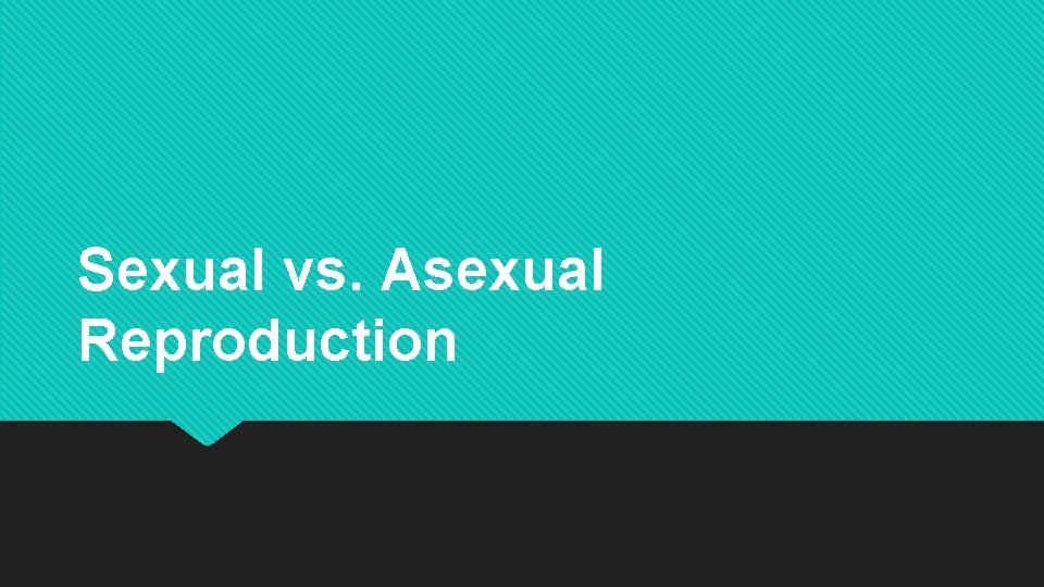 Sexual vs Asexual Reproduction Compare the results of