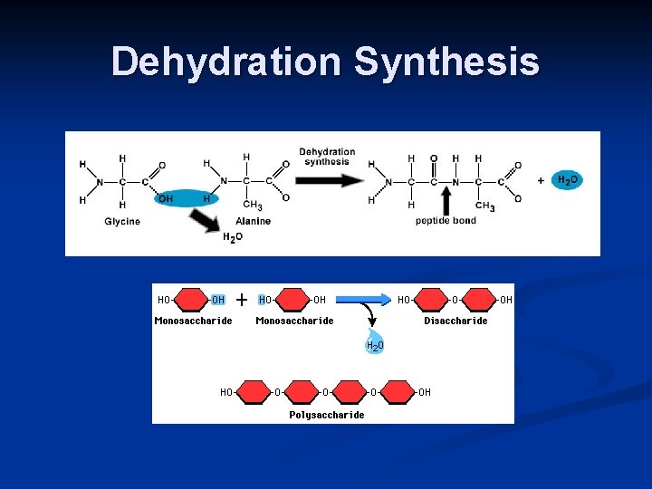 Monomers Small organic Used for building blocks of