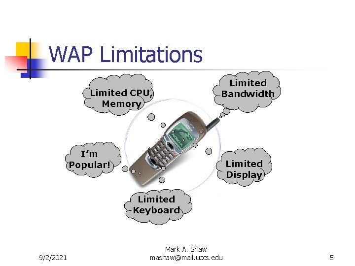 Wireless Application Protocol and the Wireless Transport Layer