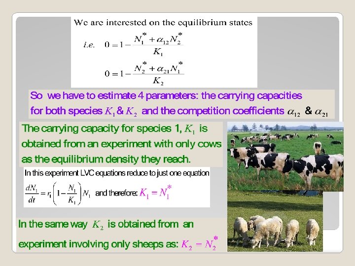 QUANTITATIVE METHODS IN COMMUNITY ECOLOGY PREDICTING SPECIES ABUNDANCES