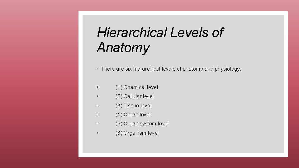 Hierarchical Levels of Anatomy There are six hierarchical