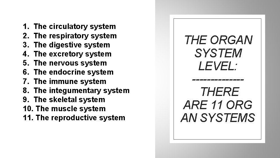 Hierarchical Levels of Anatomy There are six hierarchical