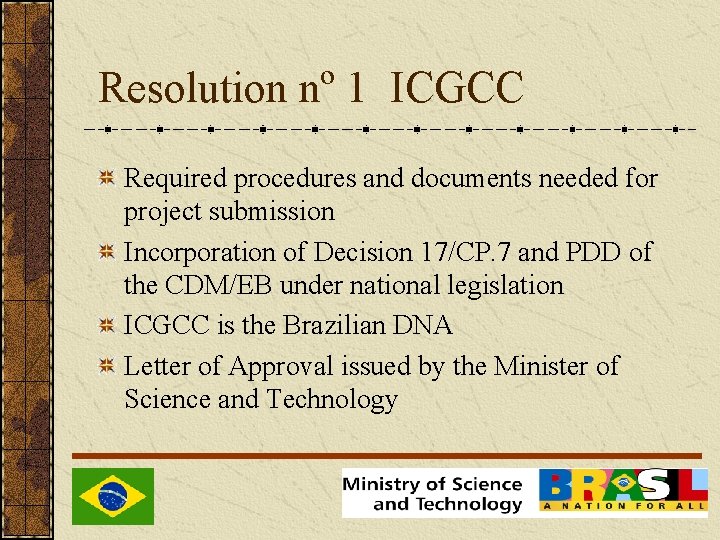 Brazilian DNA Brazil and CDM Government perspective Montreal