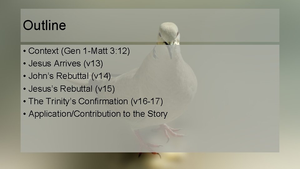 Matthew 3 13 17 Baptism of Jesus By