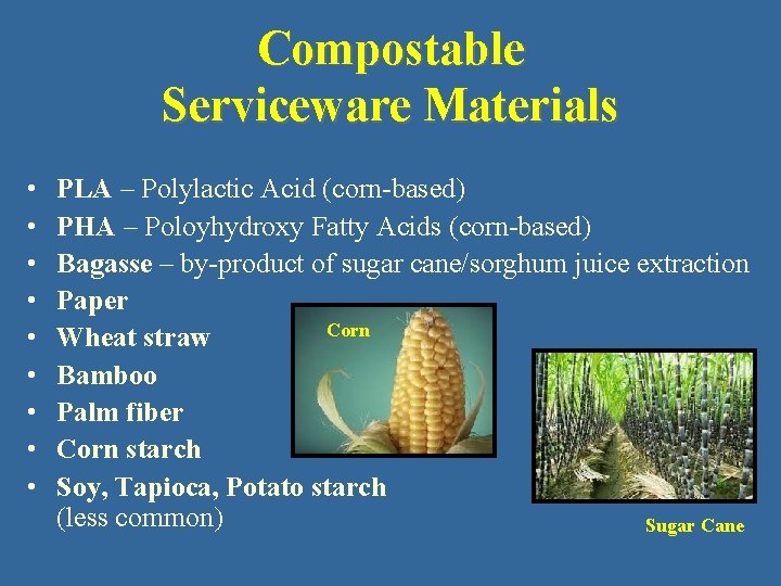 Compostable Food Serviceware What to know before purchasing